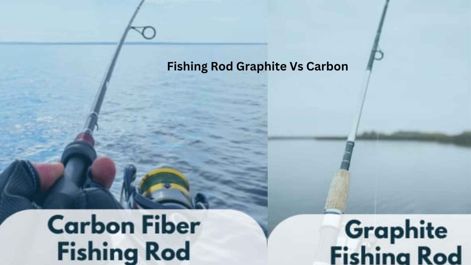 Fishing Rod Graphite Vs Carbon – Here learn The Easiest Expert Opinion ...