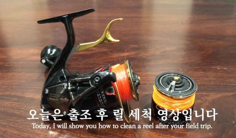 How to Clean a Fishing Reel After Saltwater Use- Here Learn The Expert ...