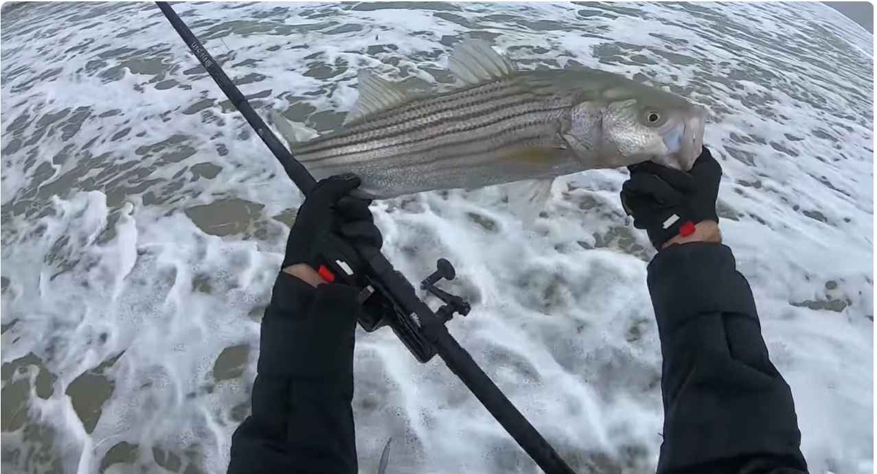 How to Fish a Diamond Jig in the Surf – Here Learn the Easiest Way to ...