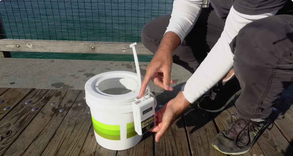 How to Keep Bait Fish Alive in a Bucket – Here We Can Learn Easiest ...