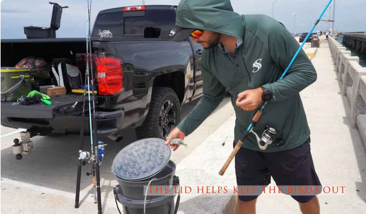 How to Keep Bait Fish Alive in a Bucket – Here We Can Learn Easiest ...