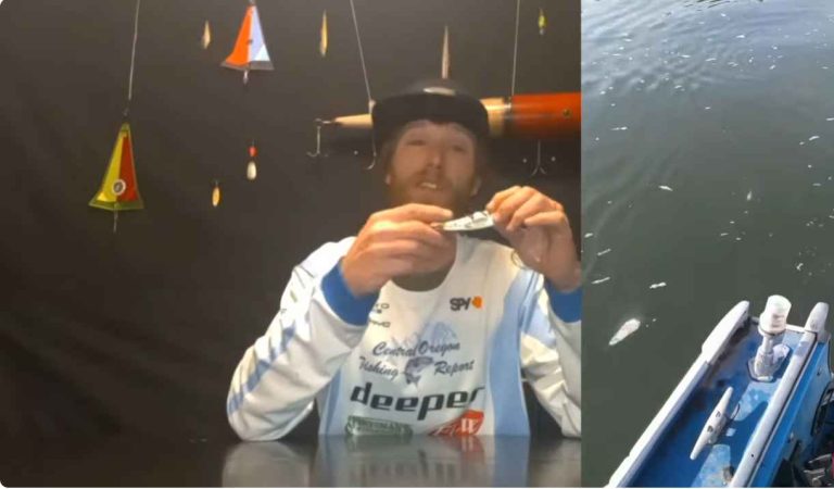 How to Rig a Flasher for Salmon Trolling-Here Learn Expert ways ...