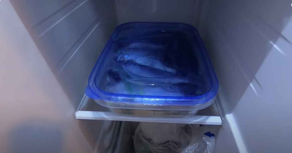 How to Use Frozen Finger Mullet As Bait – Here We Learn From Expert ...