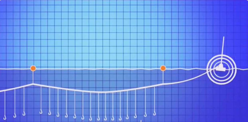 Long Line Fishing Pros And Cons – Here We Can Learn Easily From Expert ...