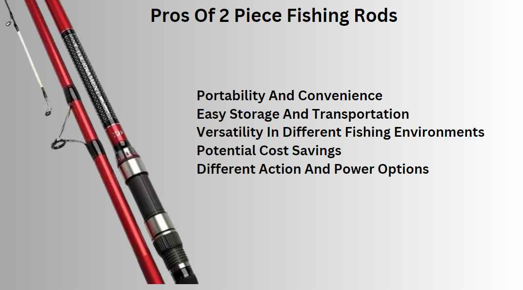 Pros And Cons of 2-Piece Fishing Rods – Fishing Elements