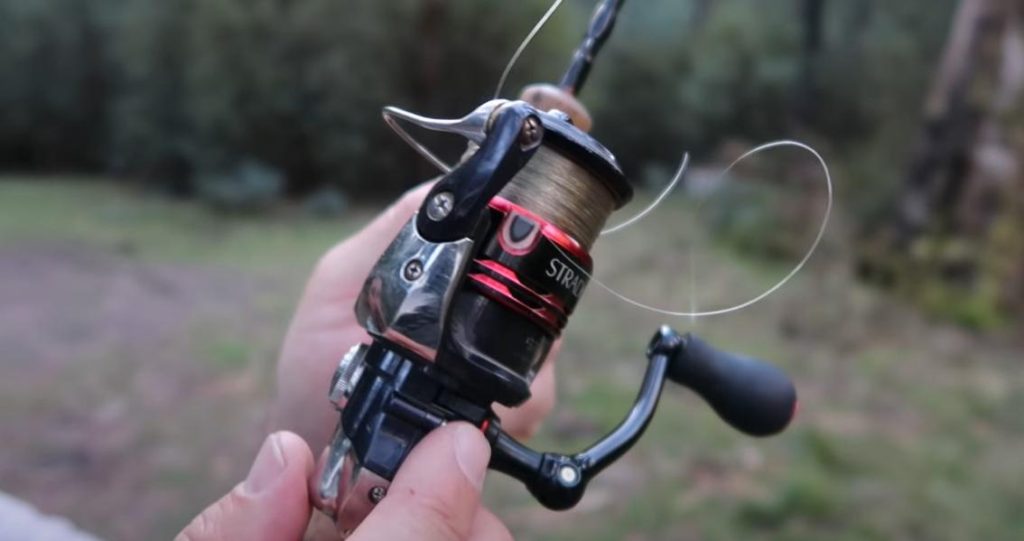 Why is My Spinning Reel Going Backwards – Fishing Elements