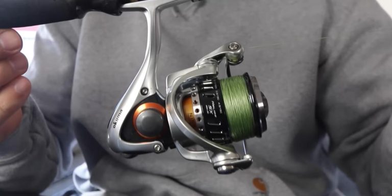 Why is My Spinning Reel Going Backwards – Fishing Elements
